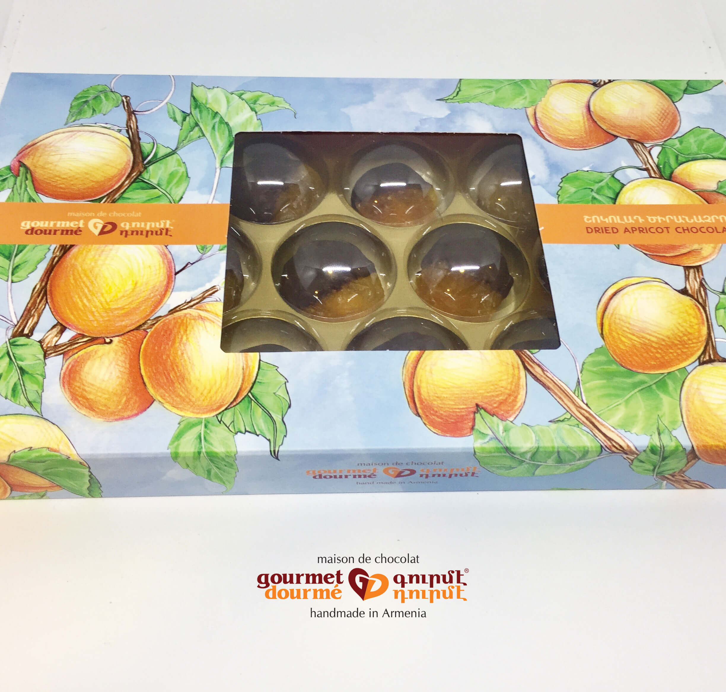 Dark Chocolate Dipped Apricots – Armenian Chocolates